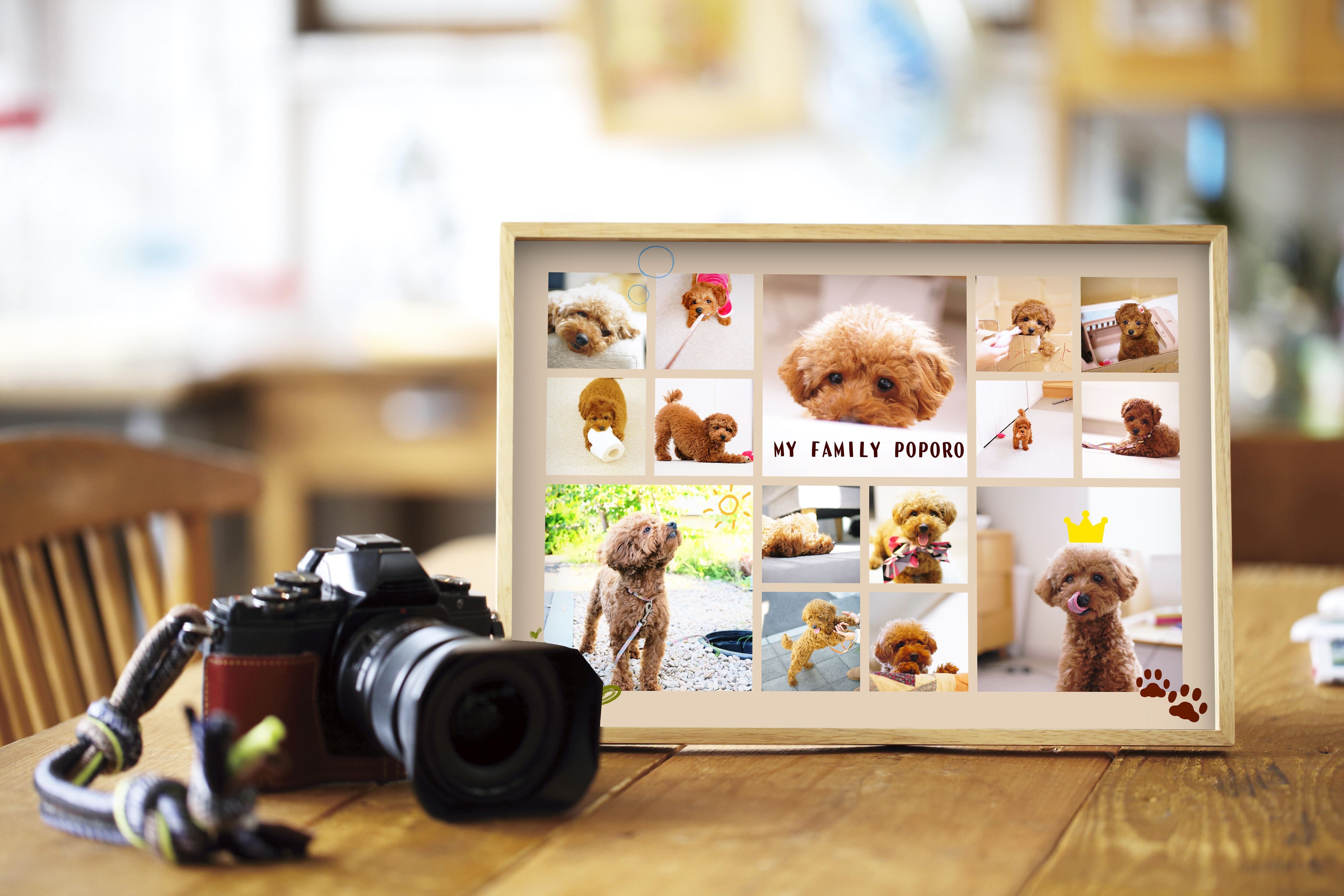 カメラのキタムラ | ショップ詳細 | 武蔵小杉東急スクエア